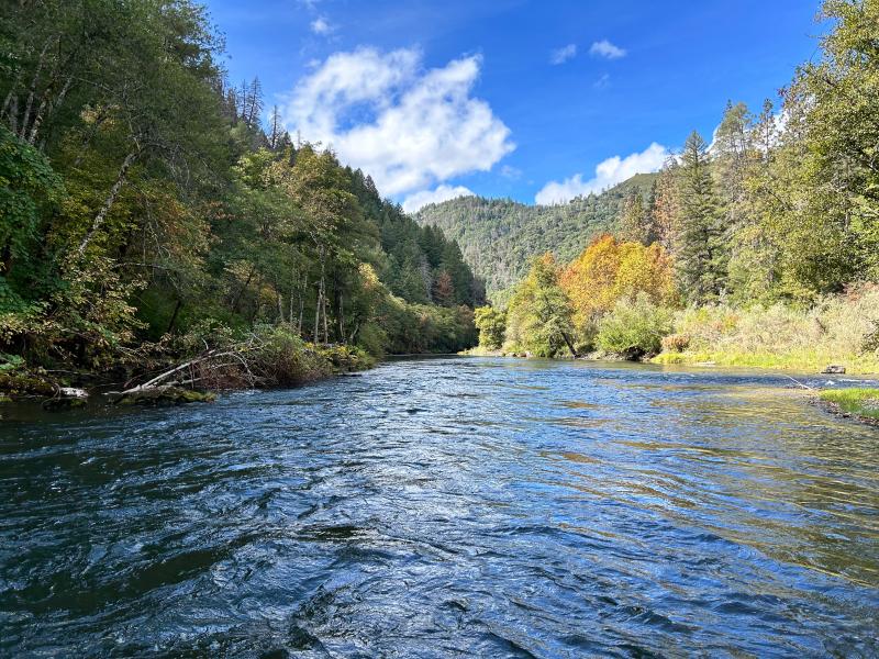 The Trinity River- A Living Laboratory for Salmonid Habitat Restoration ...